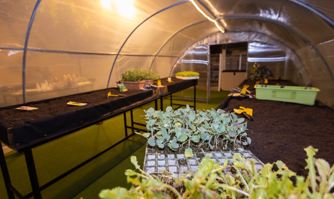 El CEE Enric Valor de Gandia instala un invernadero con la ayuda de ...