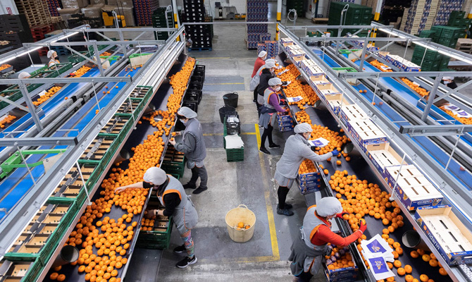 El paro repunta ligeramente en la Safor en octubre tras varios meses de ...